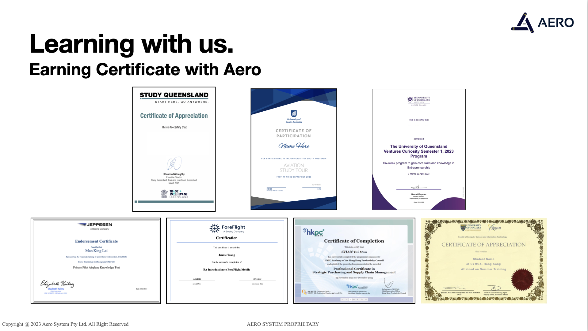 FIS System | Aerosim